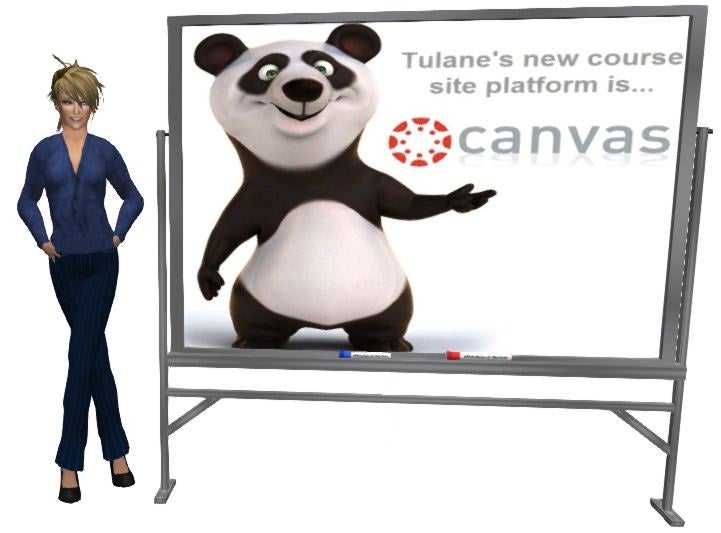 Heads Up: Canvas! – Tulane SoPA Metaversity
